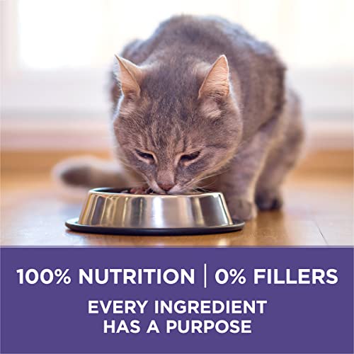 Purina ONE Natural Cat Food for Hairball Control, +PLUS Hairball Formula - 22 lb. Bag