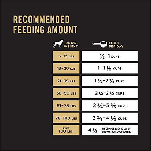 Purina Pro Plan High Protein, Cognitive Health Dry Dog Food, Chicken & Rice Formula - 16 lb. Bag