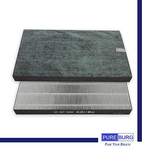 PUREBURG Replacement True HEPA Filter Set Compatible with Sharp KC-860U PlasmaCluster Air Purifier, Replaces Part FZ-C150HFU FZ-C150DFU FZ-C100MFU