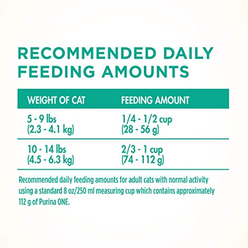 Purina ONE Sensitive Stomach, Sensitive Skin, Natural Dry Cat Food, +Plus Sensitive Skin and Stomach Formula - 7 lb. Bag