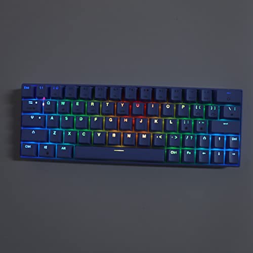 Yoidesu Wireless Mechanical Gaming Keyboard, Blue 64 Keys Wireless RGB Backlight Mechanical Keyboard 3 Modes 2.4G/BT 3.0, 5.0/Type c Wired Gaming Keyboard(Red Switch)