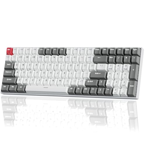 RK ROYAL KLUDGE RK100 Wireless Mechanical Keyboard RGB Backlit Bluetooth5.1/2.4G/Wired 96% Full Size 100-Key Hot-swap Gaming Keyboard with 3 USB Ports Brown Switch for Mac Windows Classic