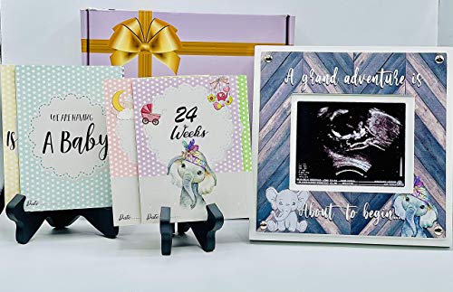 Ultrasound Photo Frame with 6 Front and Back Pregnancy Milestone Cards