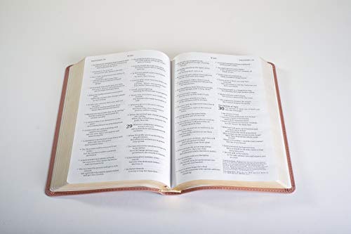 NLT Thinline Reference Holy Bible (Red Letter, LeatherLike, Brushed Pink): Includes Free Access to the Filament Bible App Delivering Study Notes, Devotionals, Worship Music, and Video