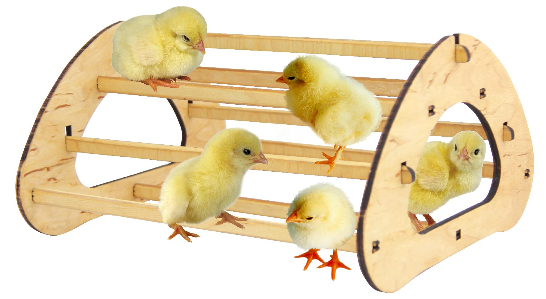 Wooden Chicken Perch for Baby Chick - Chick Roosting Bar with 7 Crossbars - Chick Roost for Brooder - Chicken Roosting Bars - Baby Chick Perch - Baby Chicken Toy