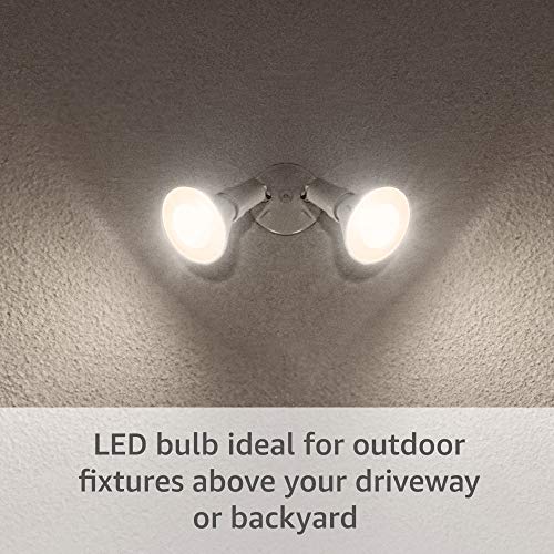 Ring PAR38 Smart LED Bulb, Black (Bridge required)