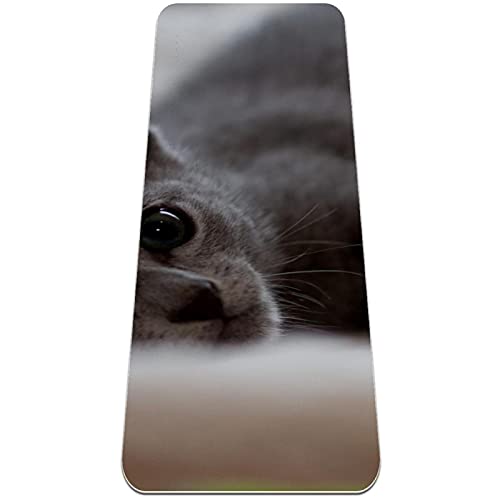 Yoga Mat, Yoga Mats for Home Workout, Workout Mat, Exercise Mats, Pilates Mat, grey cat animal pattern