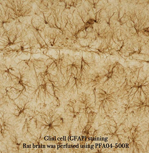 Paraformaldehyde, 4% in PBS - 500 mL - PFA04-500R