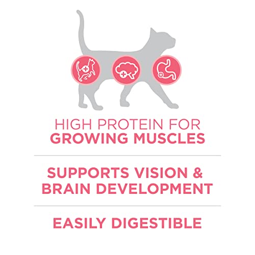 Purina ONE High Protein, Natural Dry Kitten Food, +Plus Healthy Kitten Formula - 7 lb. Bag