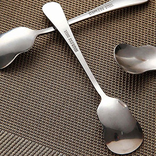 WARMBUY Small Stainless Steel Ice Cream Spoon Coffee Spoons Dessert Spoons, Set of 10