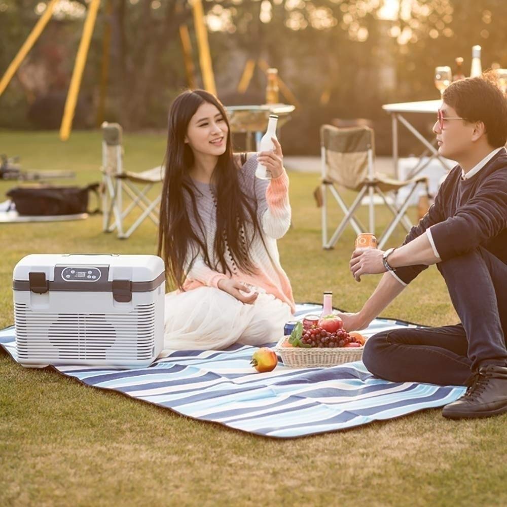 N/A Thermoelectric Mini Fridge Cooler and Warmer - for Home,Office, Car, Dorm or Boat - Compact & Portable