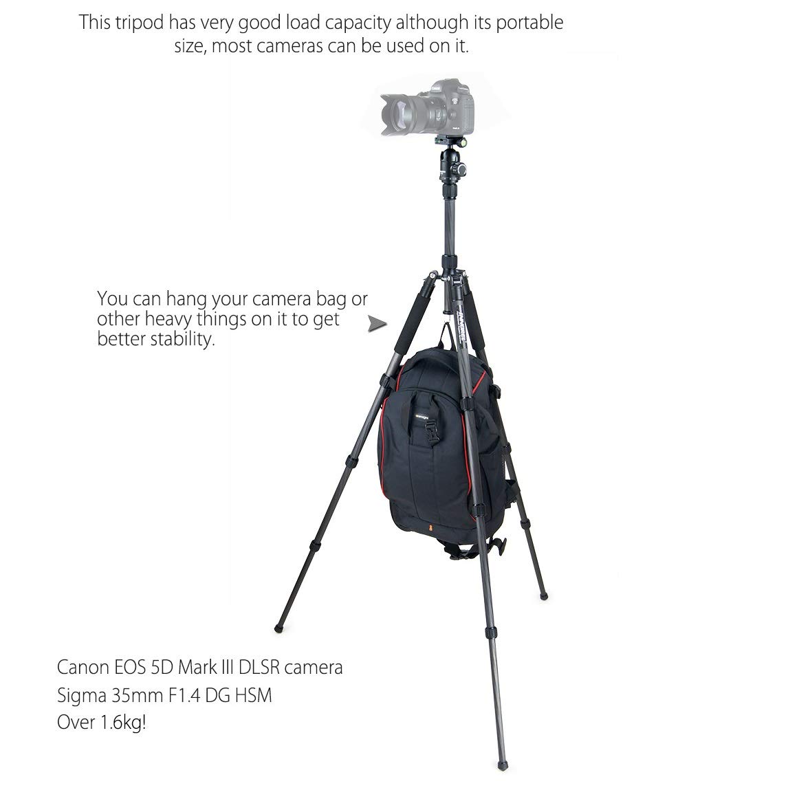 RT40C Professional Carbon Fiber Tripod for Digital Camera tripode Suitable for Travel Series Camera Stand
