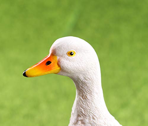 Rich Boxer Simulation Duck Figurine Resin Duck Decor Artificial Duck Model Duck Statue for Garden Pond Decoration Art Crafts Statues(White)