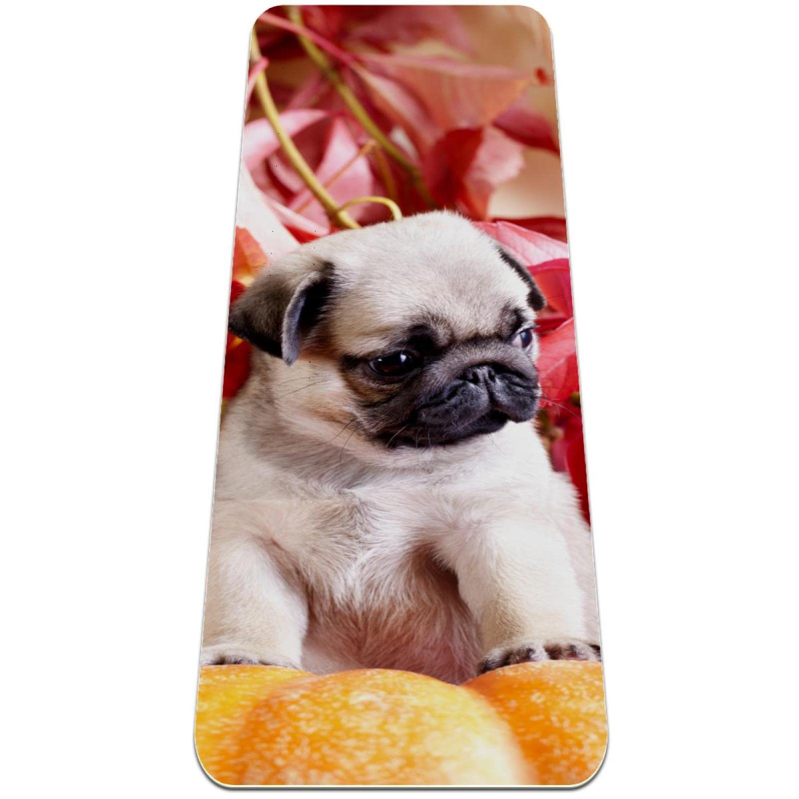 Yoga Mat, Yoga Mats for Home Workout, Workout Mat, Exercise Mats, Pilates Mat, dog animal pug pumpkin pattern