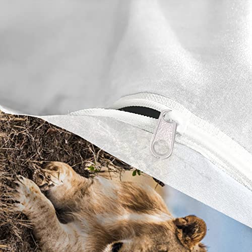 Quilt Cover Twin Size Lion 3D Bedding Sets Animal Duvet Cover Breathable Hypoallergenic Stain Wrinkle Resistant Microfiber with Zipper Closure,beding Set with 2 Pillowcase