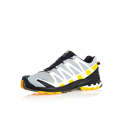 Salomon XA PRO 3D v8 Gore-TEX Trail Running Shoes for Men, Quarry/Saffron/Olive Night, 10.5