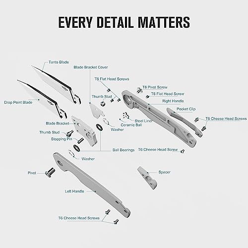 OKNIFE Freeze 4 Ti Folding Knife, Replaceable Blade EDC Pocket Knife with 154CM Stainless Steel Point Blade Tanto Blade, TC4 Titanium Alloy Handle and Frame Lock for Camping, Hiking