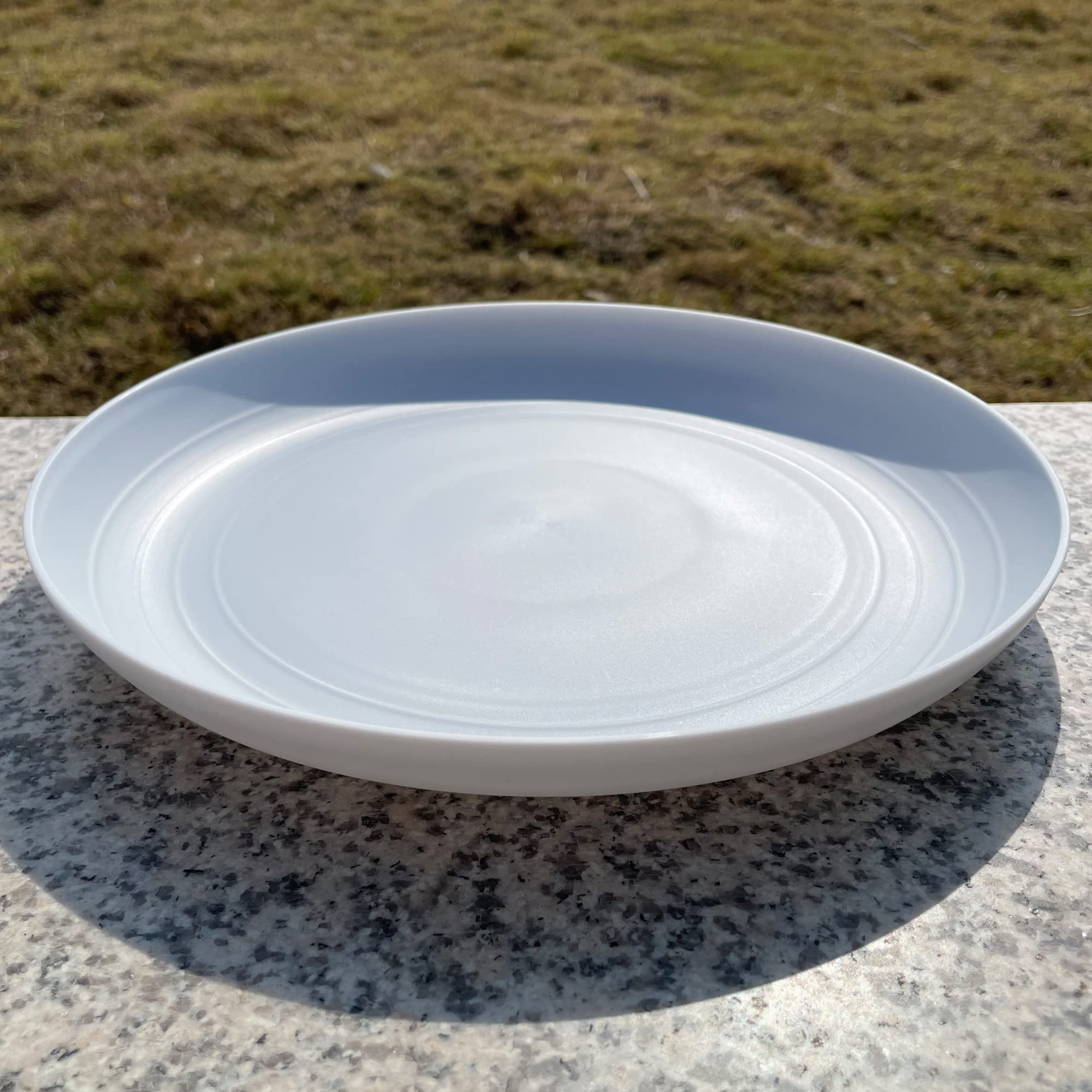 YUYUHUA Unbreakable Plastic Plates Reusable β Everyday Deep Dinner Plates 10 inch set of 6 β BPA Free Dishwasher Microwave Safe Hard Plates for Kitchen, Party, Camping, Outdoor