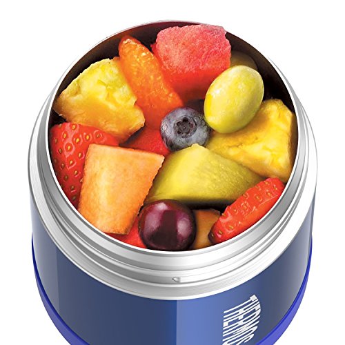 Thermos FUNtainer Food Flask, Blue, 290 ml