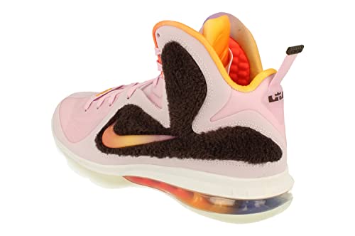 Nike Lebron IX Regal Pink/Multicolor/Velvet Brown 10 D (M)