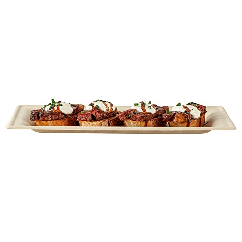 Restaurantware Pulp Safe No PFAS Added 10 x 5.1 Inch Rectangle Plates 100 Disposable Plates - Home Compostable Microwavable And Freezable Bagasse Plates For Hot And Cold Foods