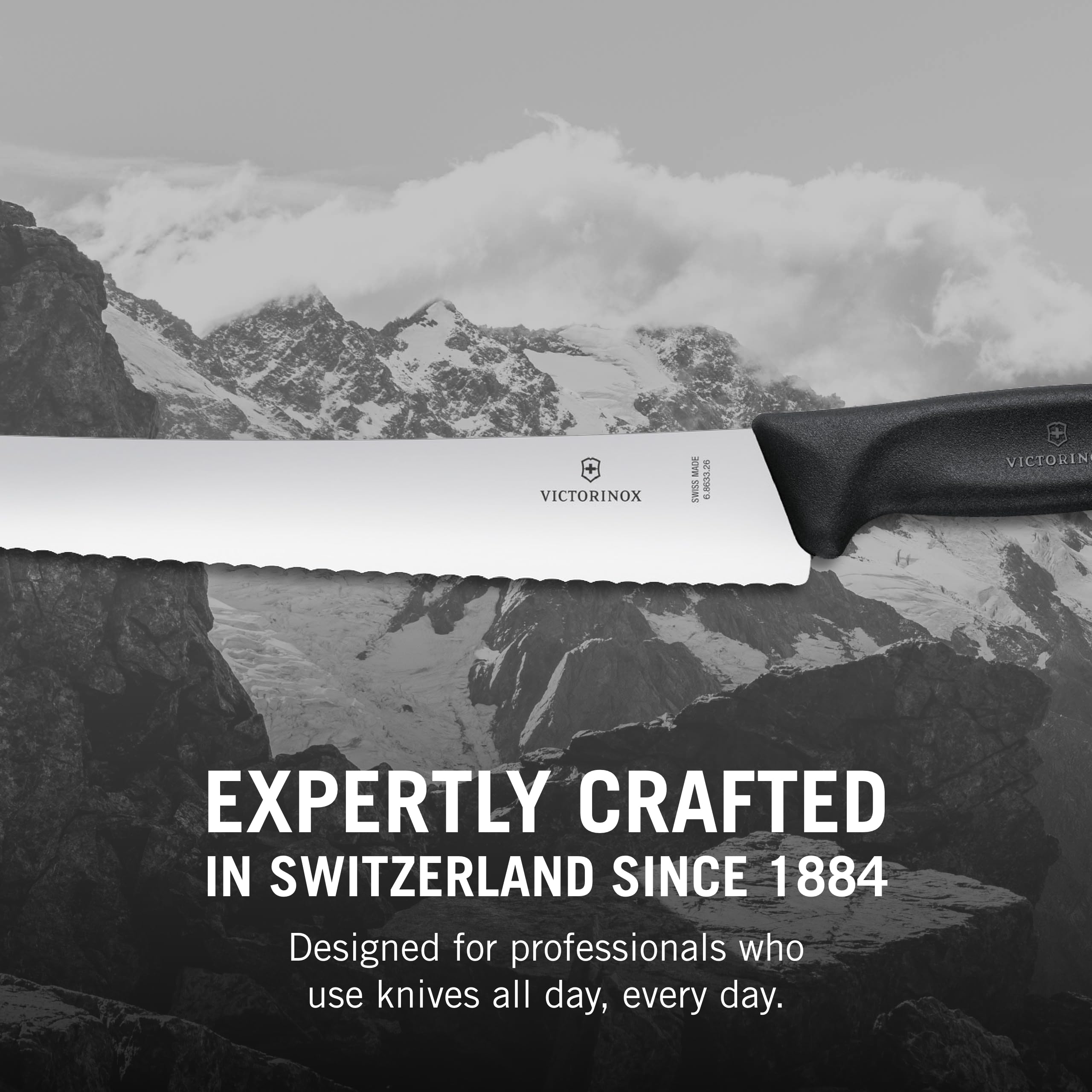 Victorinox Swiss Classic 10.25-Inch Curved Bread Knife with Serrated Edge and Black Handle