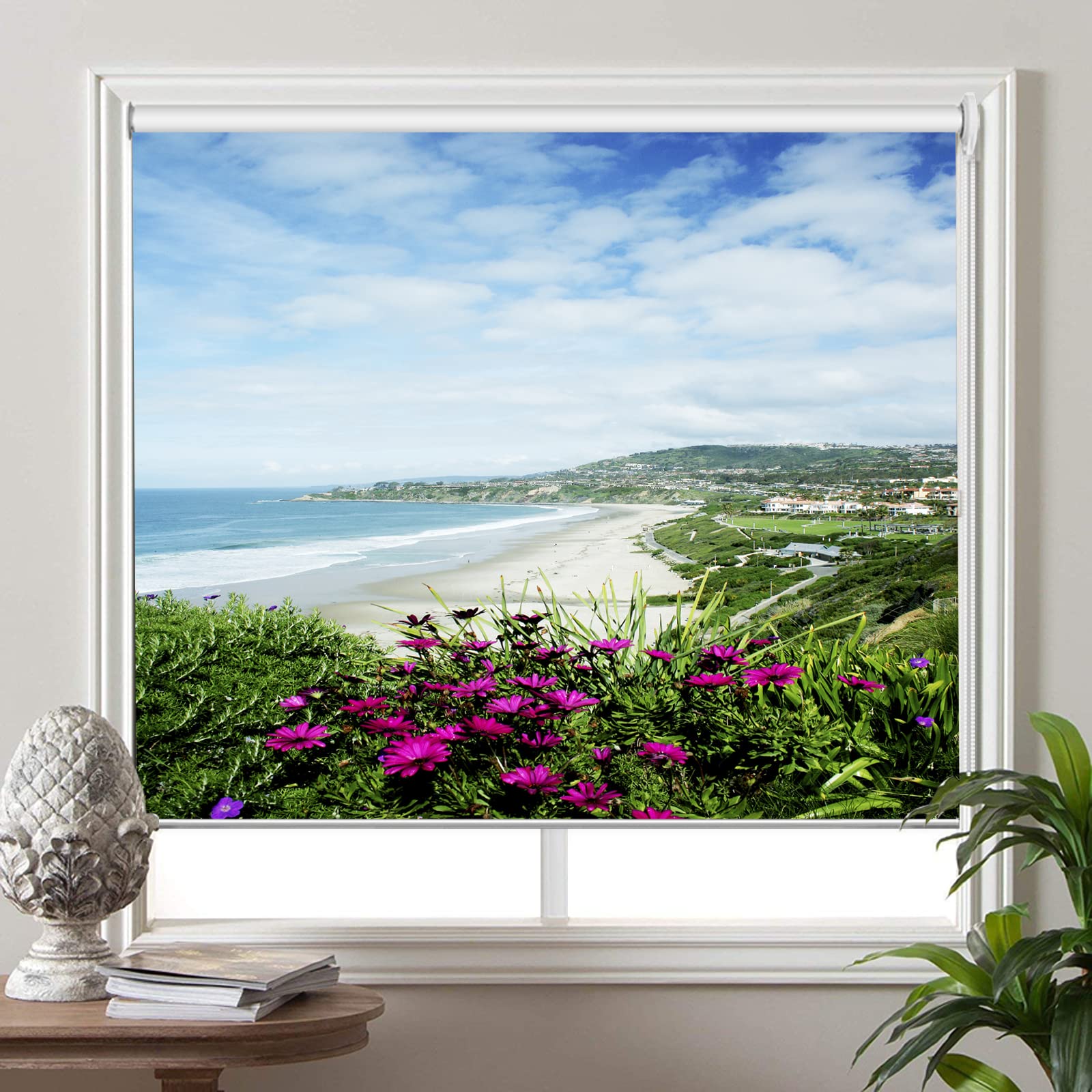PASSENGER PIGEON Blackout Cordless Window Shades, Custom Made Light Filtering Motorized Printed Roller Blinds, Roller Shades with Picture, Seaside