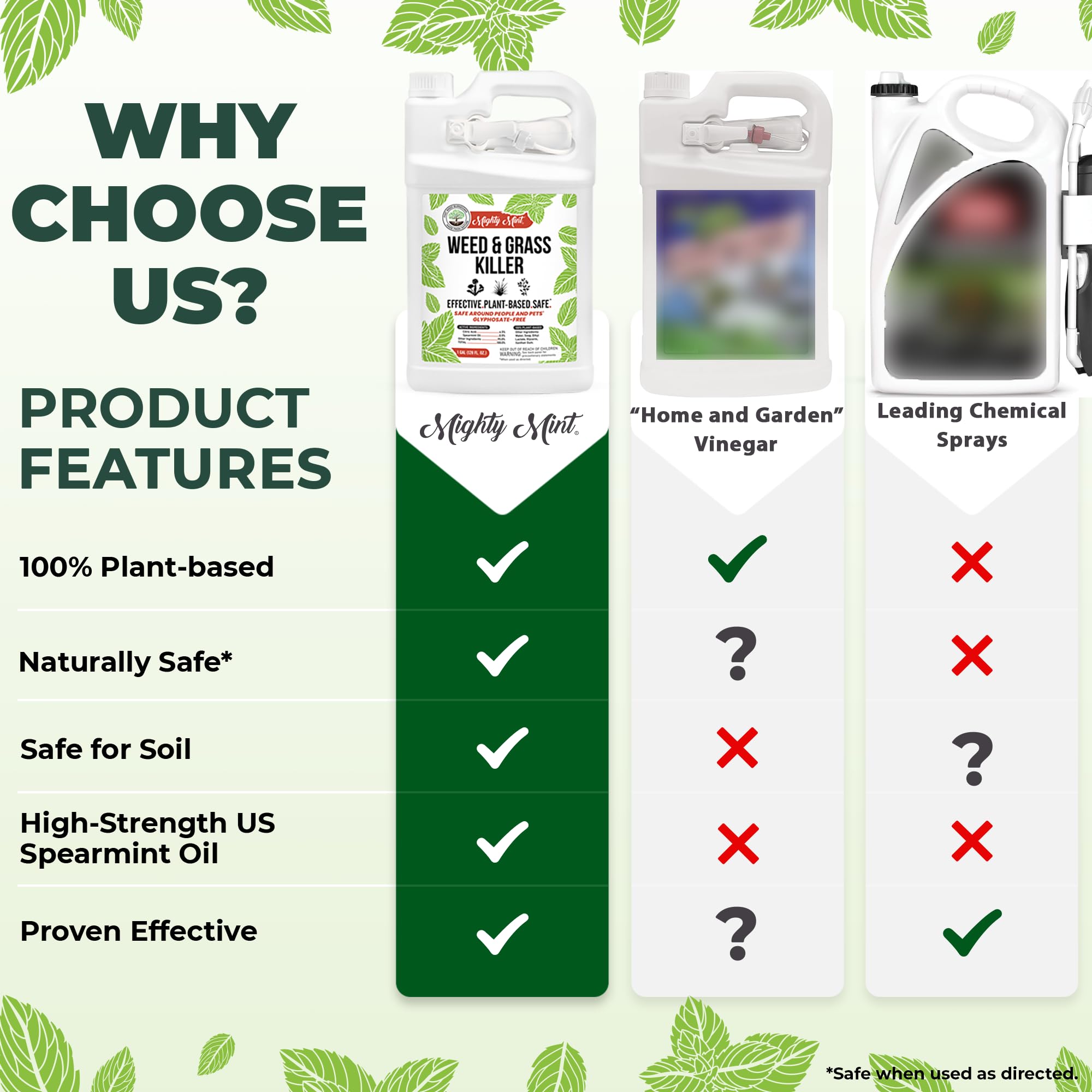 Weed & Grass Killer β Natural Vinegar & Salt Weed Killer β 1 Gallon - Glyphosate Free