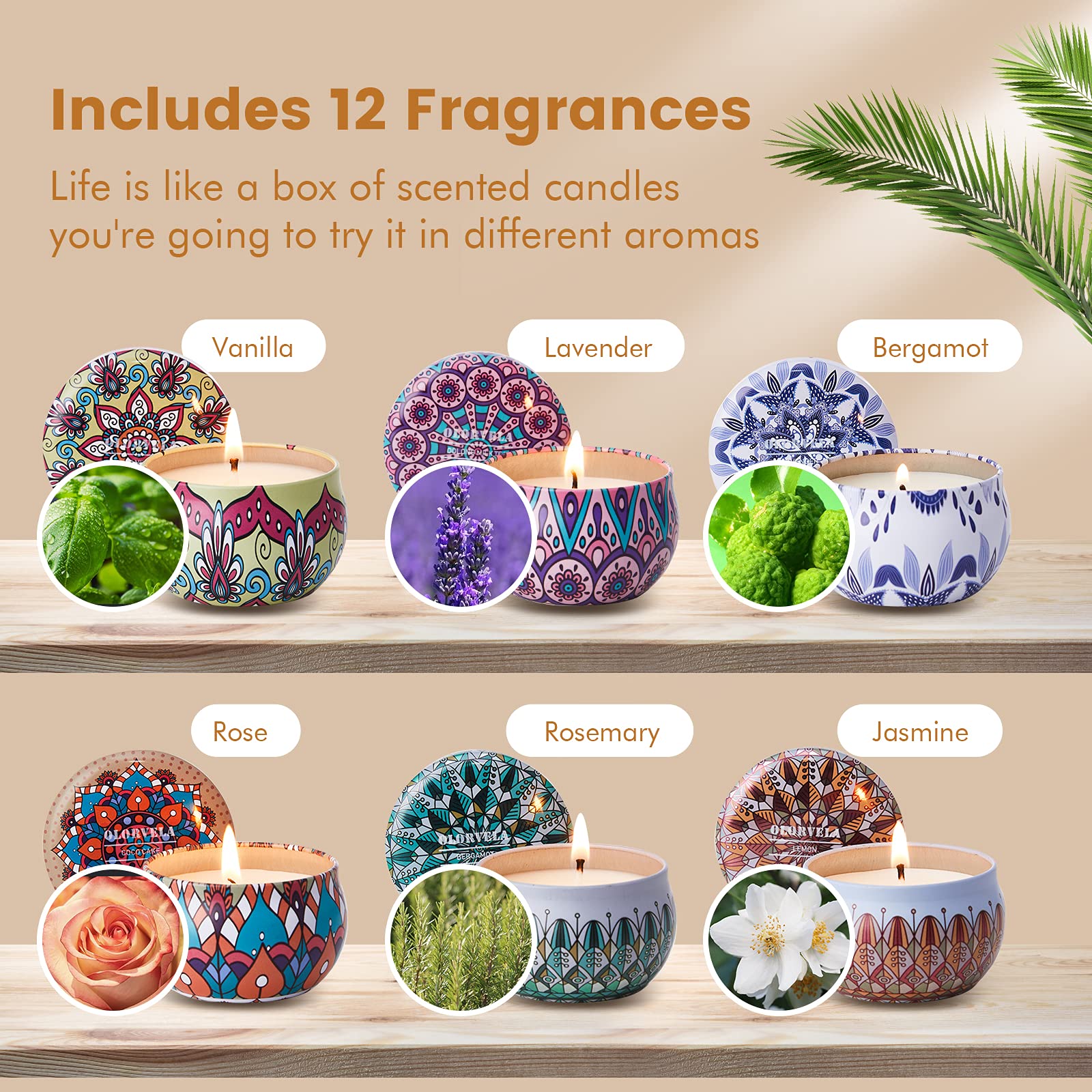 olorvela Scented Candles for Home Scented Candles Gift Set for Women, 12 Pack Aromatherapy Candles Travel Tin Candle
