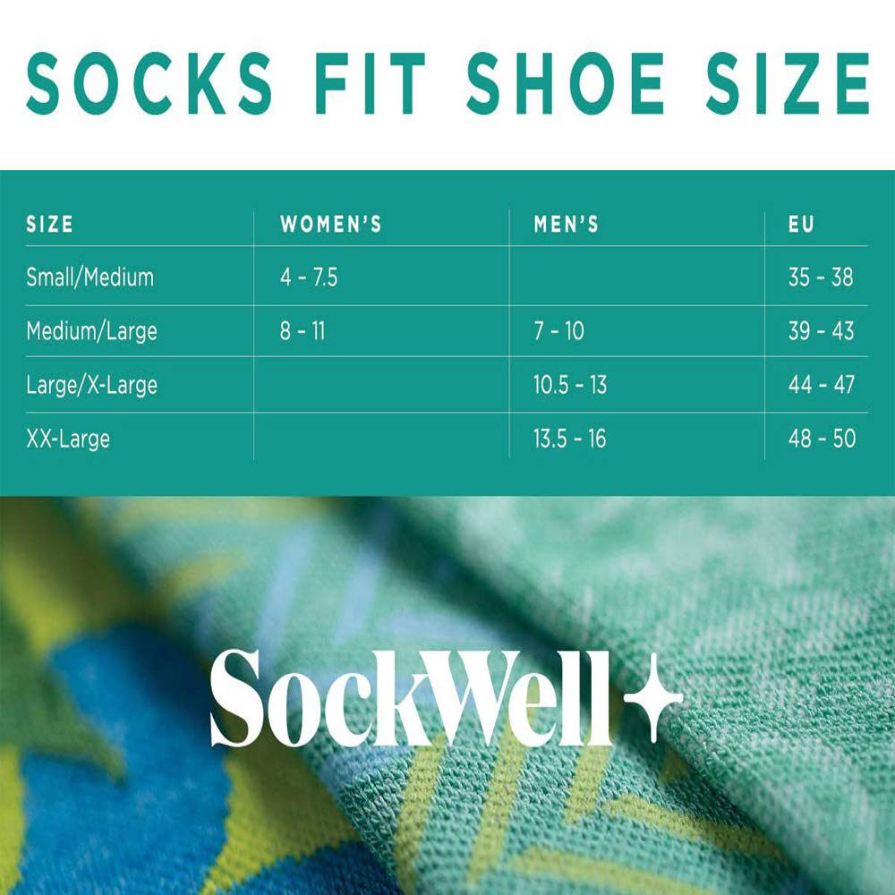 Sockwell Men's Incline Micro Moderate Compression Sock, Lt. Grey Solid - L/XL