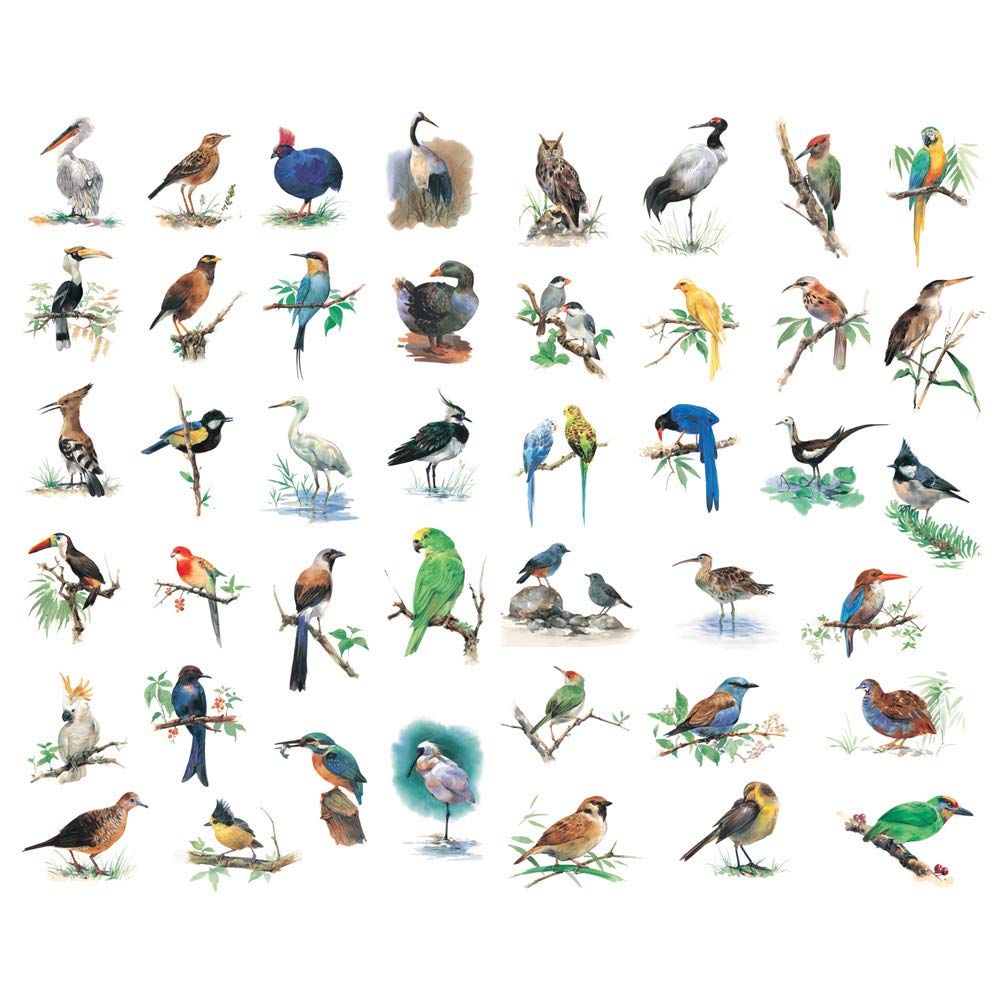 Seasonstorm Watercolor Birds Precut Cute Aesthetic Diary Travel Paper Junk Journal Stickers Scrapbooking Stationery Sticker Flakes Art Supplies (PK350)