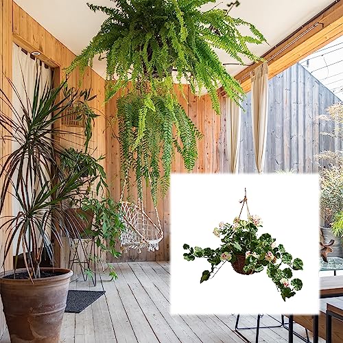 Pure Garden Faux Flowers - Light Pink Geranium Hanging Natural and Lifelike Floral Arrangement with Basket for Home or Office