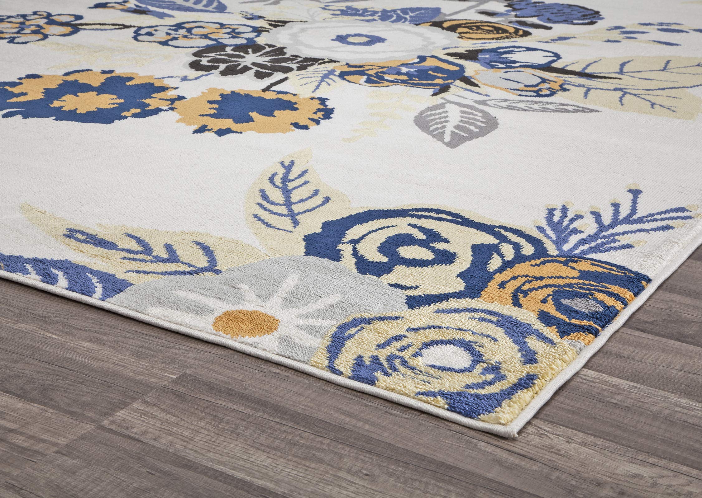 Rugs America Hanna VA40B Rose Garden Ivory Floral Transitional Area Rug, 2'x4'
