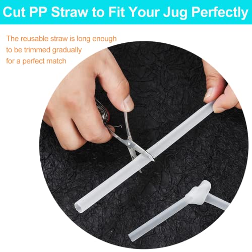 TeHappy Water Bottle Straw for Replacement, Reusable Straws for 64oz and 128oz Big Bottles Jugs, 4 Extra Long 14.9ββ Straw with 2 Cleaning Brushes Set of 6, Cut to Fit Any Bottle