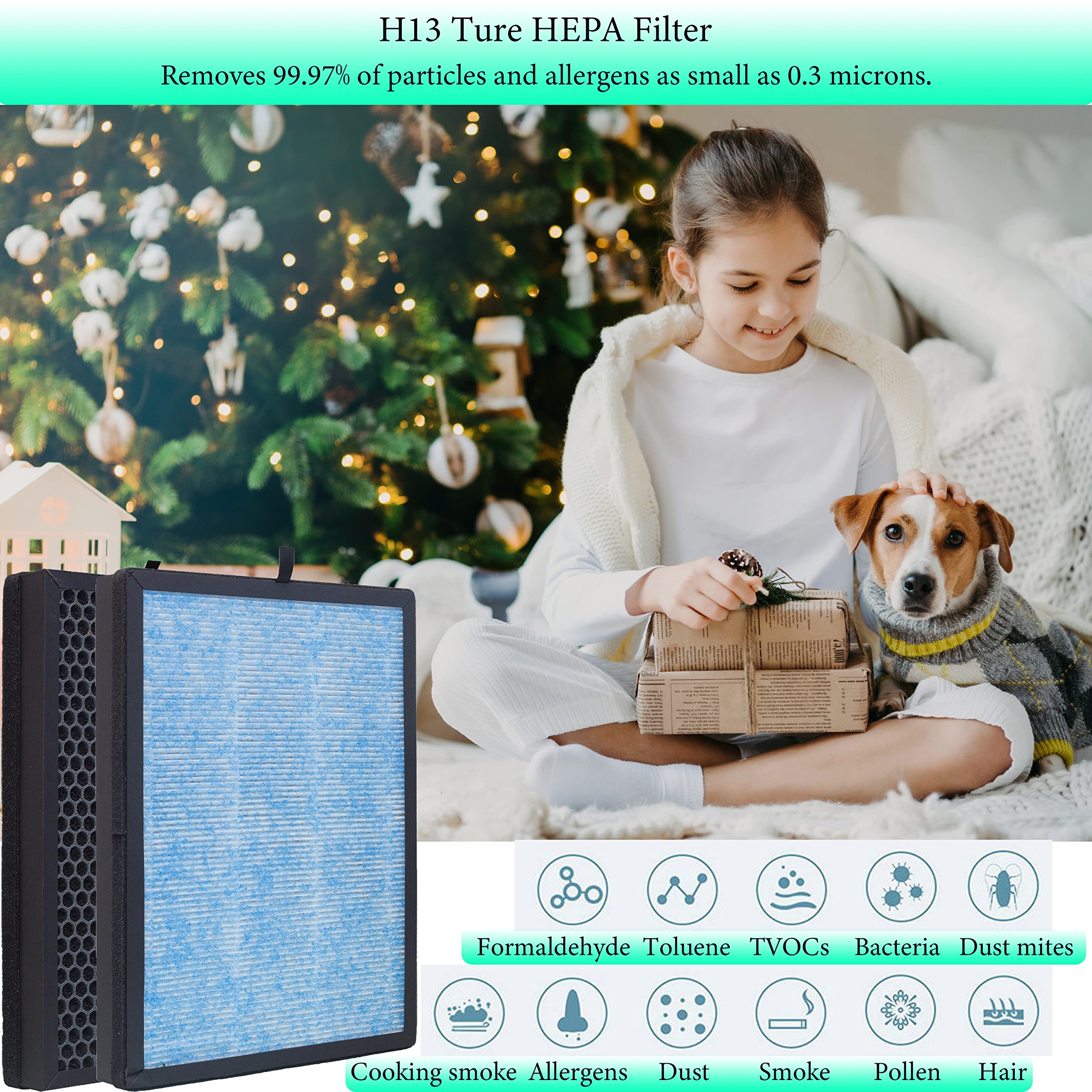 Nyingchi AP1002 Replacement Filter,Compatible with AIRTOKĀ® AP1002 and Pure Morning APH230C Air Purifier, H13 True HEPA 3 in 1 Filter,2-Pack