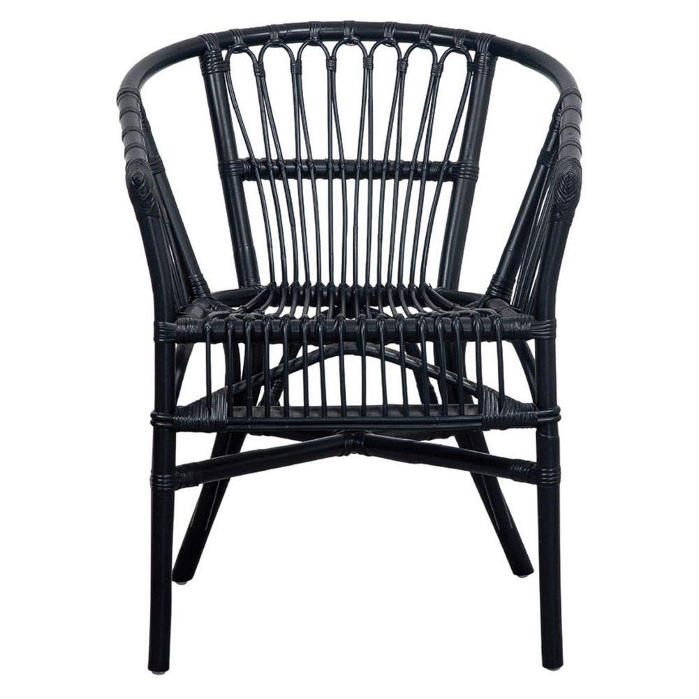Safavieh Home Adriana Coastal Black Rattan (Set of 2) Accent Chair, 0