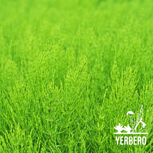Yerbero - Premium Loose Horsetail Tea 2oz (58gr) | Cola De Caballo Te Herbal | Makes 30+ Cups | Shave Grass - Snake Grass | Stand Up Resealable Bag | Crafted By Nature100% All Natural.