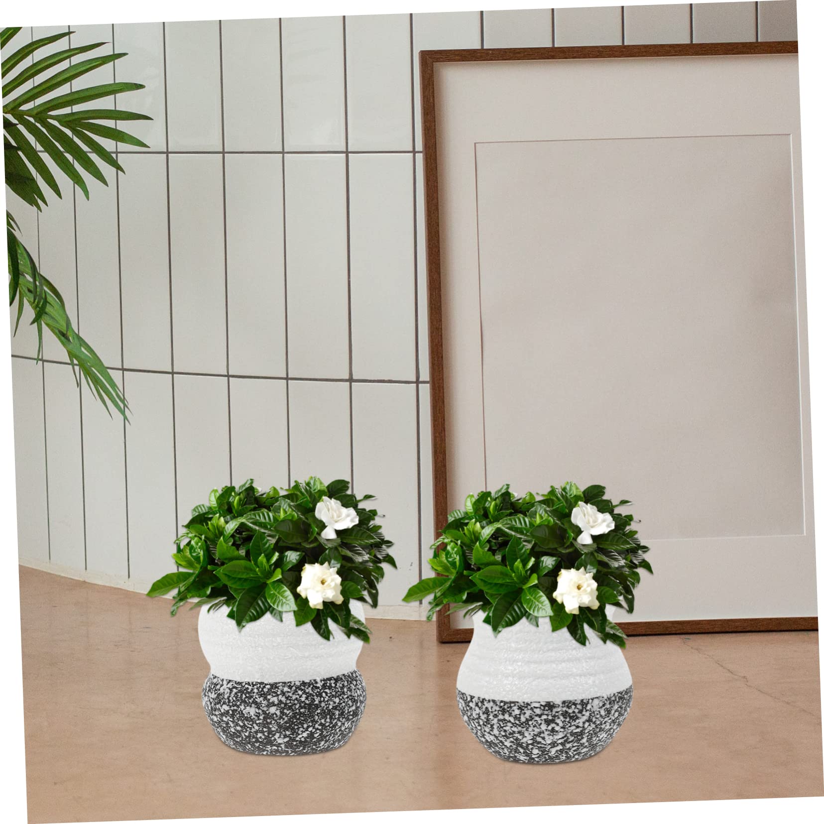 Yardenfun 6pcs White Planter Succulents Ceramic Office Adorable Flowers Containers Black Outdoor Glazed Garden for Porcelain Bonsai Balcony Nursery Pots with Tiny Mini Gardening