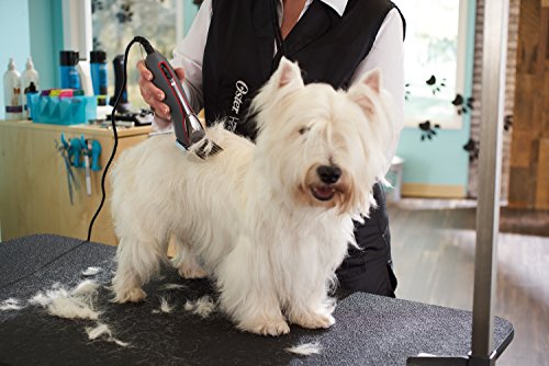 Oster A6 Cool Comfort Heavy Duty Pet Grooming Clippers with Detachable CryogenX #10 Blade, 3 Speed, Aqua Sky (078006-000-000),Black,1.75 x 1.88 x 6.90 inches