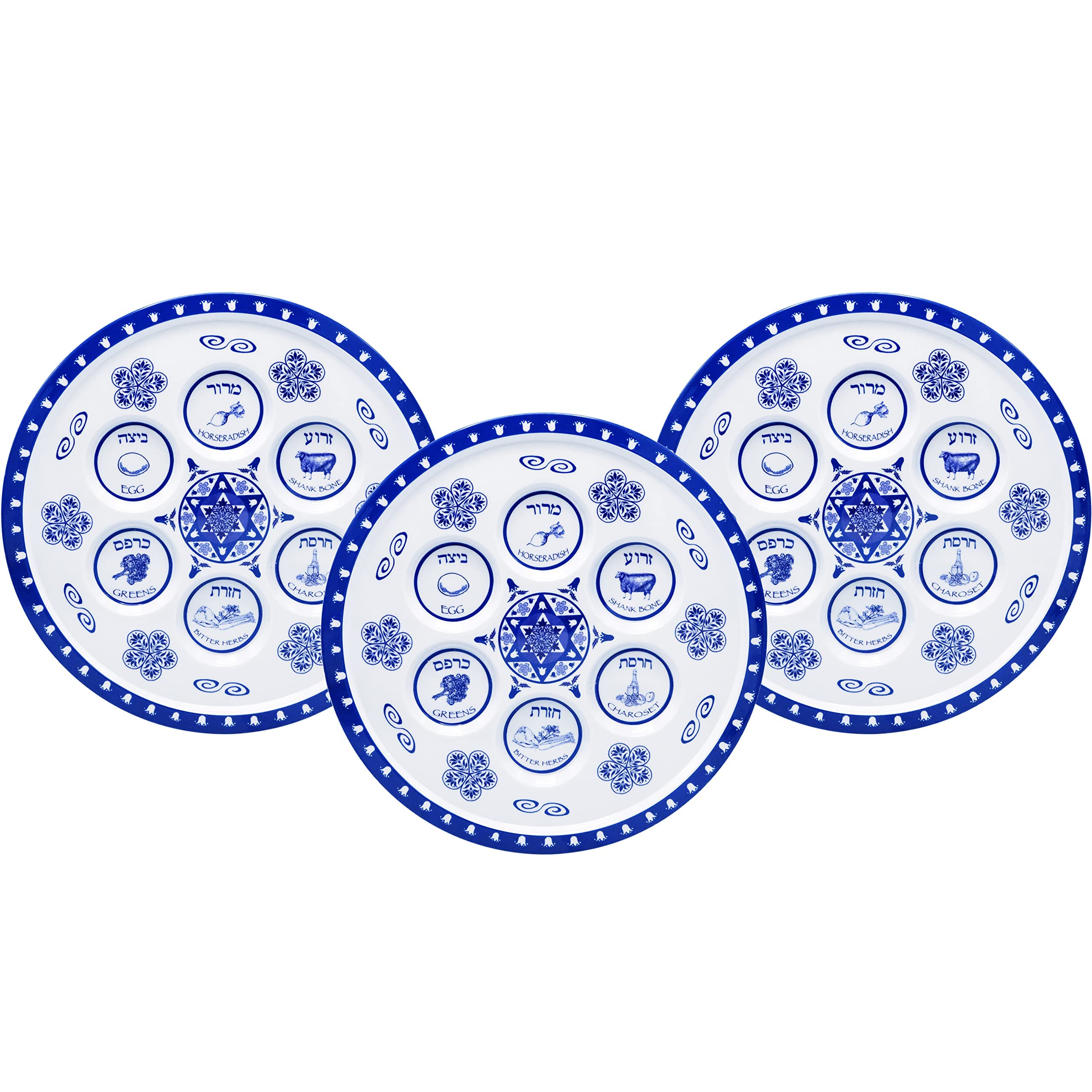 The Dreidel Company Seder Plate Passover Plate Melamine Renaissance Design Passover Seder Plates