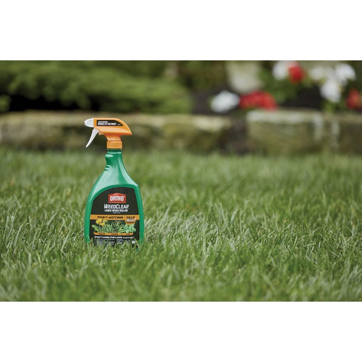Ortho WeedClear Lawn Weed Killer Ready to Use - Weed Killer for Lawns, Crabgrass Killer, Chickweed, Dandelion, Clover & More, Fast Acting Weed Killer Spray, Kills to The Root, 24oz