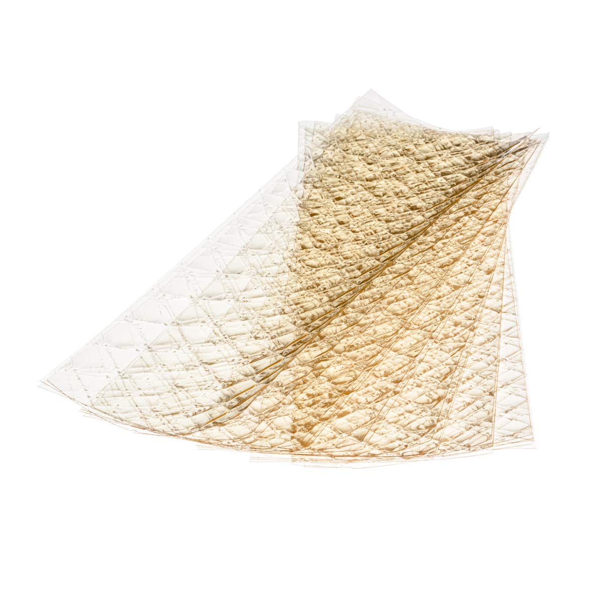 Modernist Pantry® - Silver Gelatin Sheets - 170 Bloom - 20 Sheets