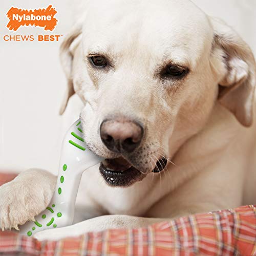 Nylabone Reach and Clean Chew Toy Bacon Large/Giant (1 Count)