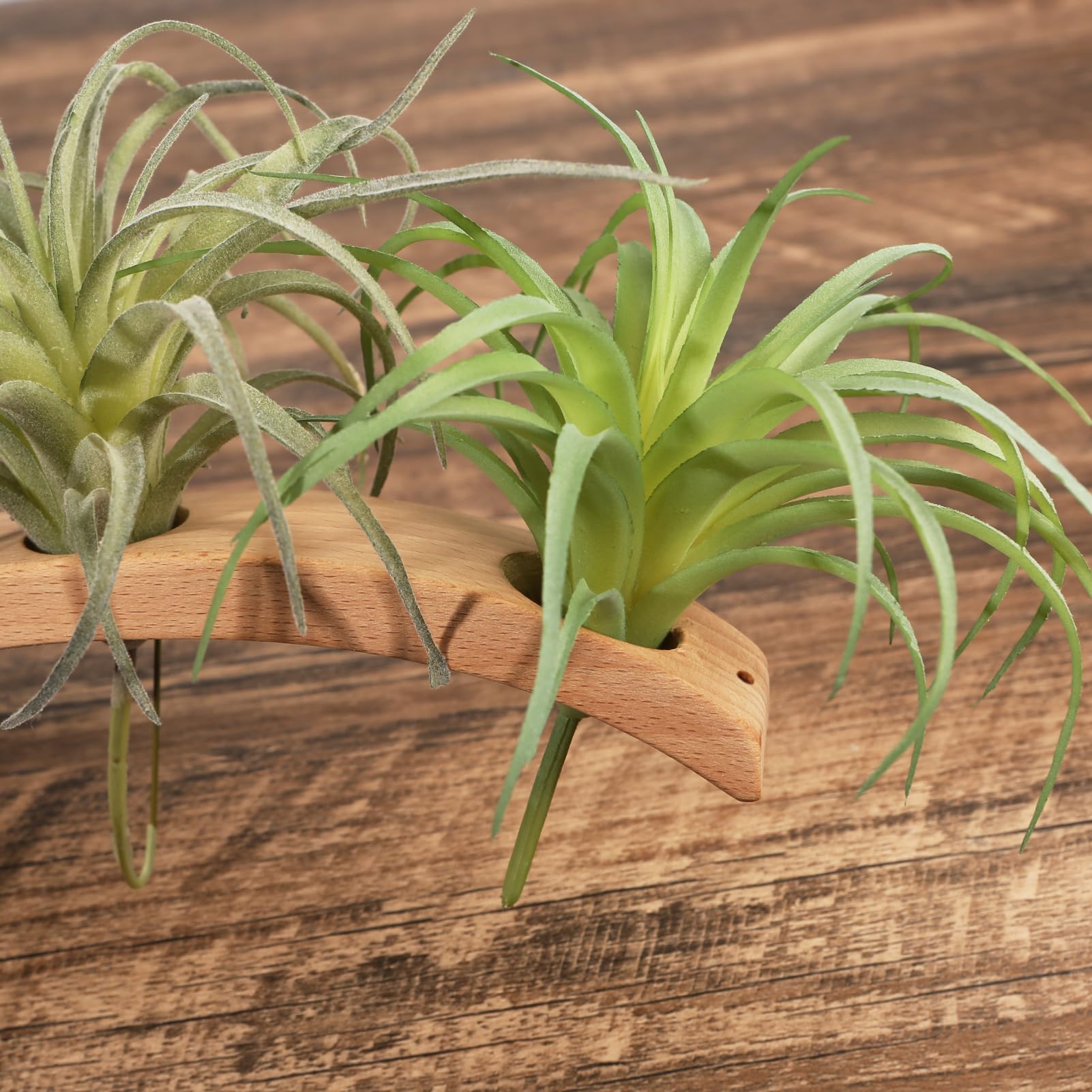 Perfin 2 PACK Wavy Wood Air Plant Holders Unique Hanging Airplant Holders Wall Display For Air Plants Live Indoor Plants Home Office Wall Decorโฆ