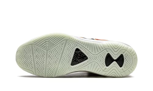Nike Lebron VIII QS Black/Black/White/Multicolor 7.5 D (M)