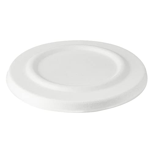 Restaurantware Pulp Safe No PFAS Added 10 x 5.1 Inch Rectangle Plates 100 Disposable Plates - Home Compostable Microwavable And Freezable Bagasse Plates For Hot And Cold Foods