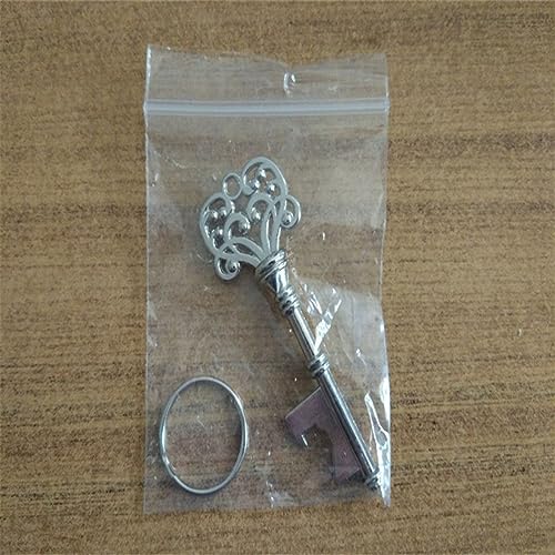 Toporchid Key Portable Bottle Opener Beer Bottle Can Opener Hangings Ring Keychain Tool(silver)