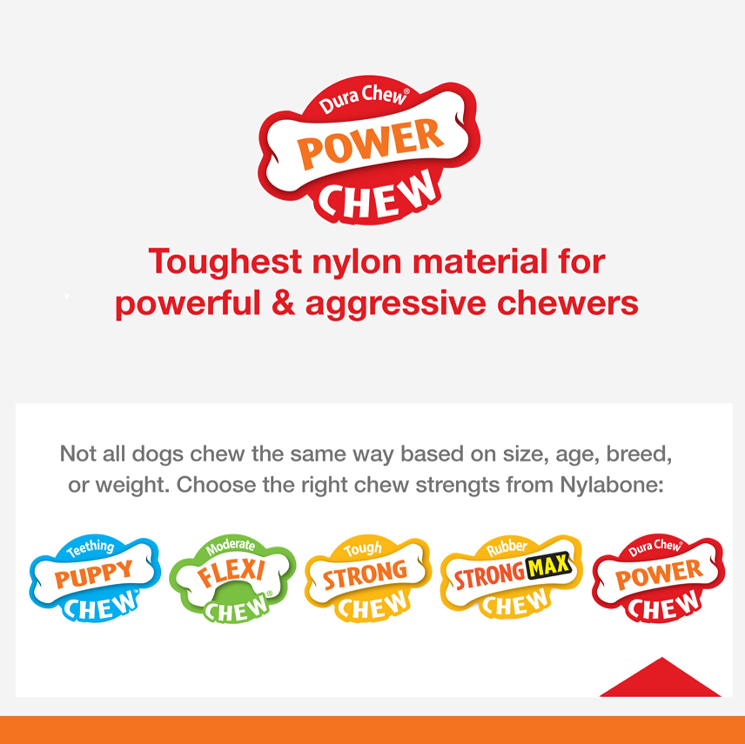 Nylabone Chew & Treat Toy for Dogs - Interactive Dog Enrichment Chew & Treat Toys