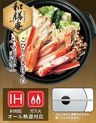パール金属(PEARL METAL) HB-6030 Tabletop Pot, 24cm (3~5人用)