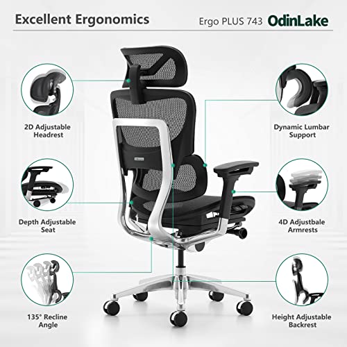 Odinlake Big & Tall Office Chair 500lbs, Heavy Duty Ergonomic Mesh Chair, High Back Swivel Computer Chair with Lumbar Support & 4D Arms,Adjustable Wide Seat Home Desk Chair with Headrest